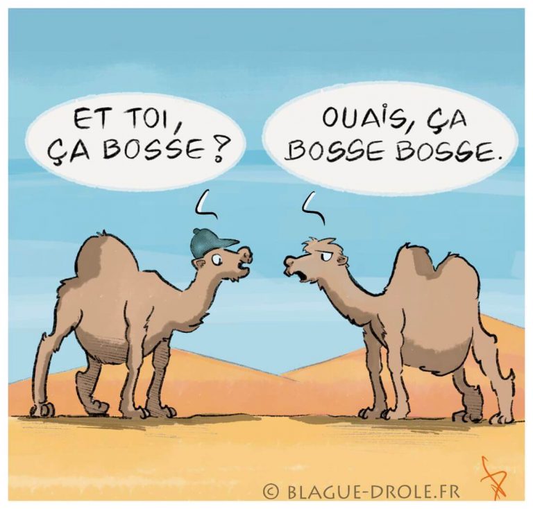 Image drôle | Top de blagues, images marantes, photos comiques